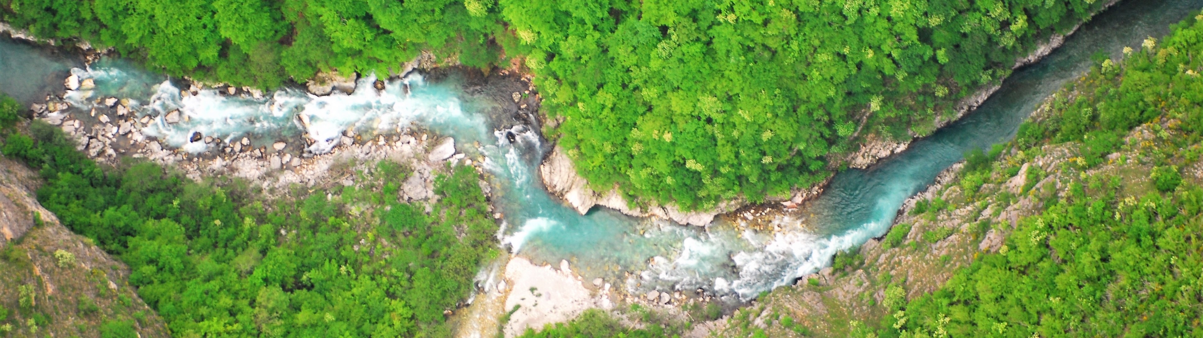 Save the Blue Heart of Europe