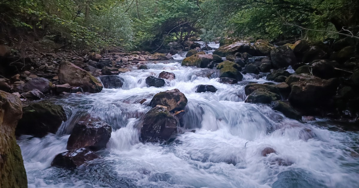 North Macedonia: Legal delays leave protected areas vulnerable to ...