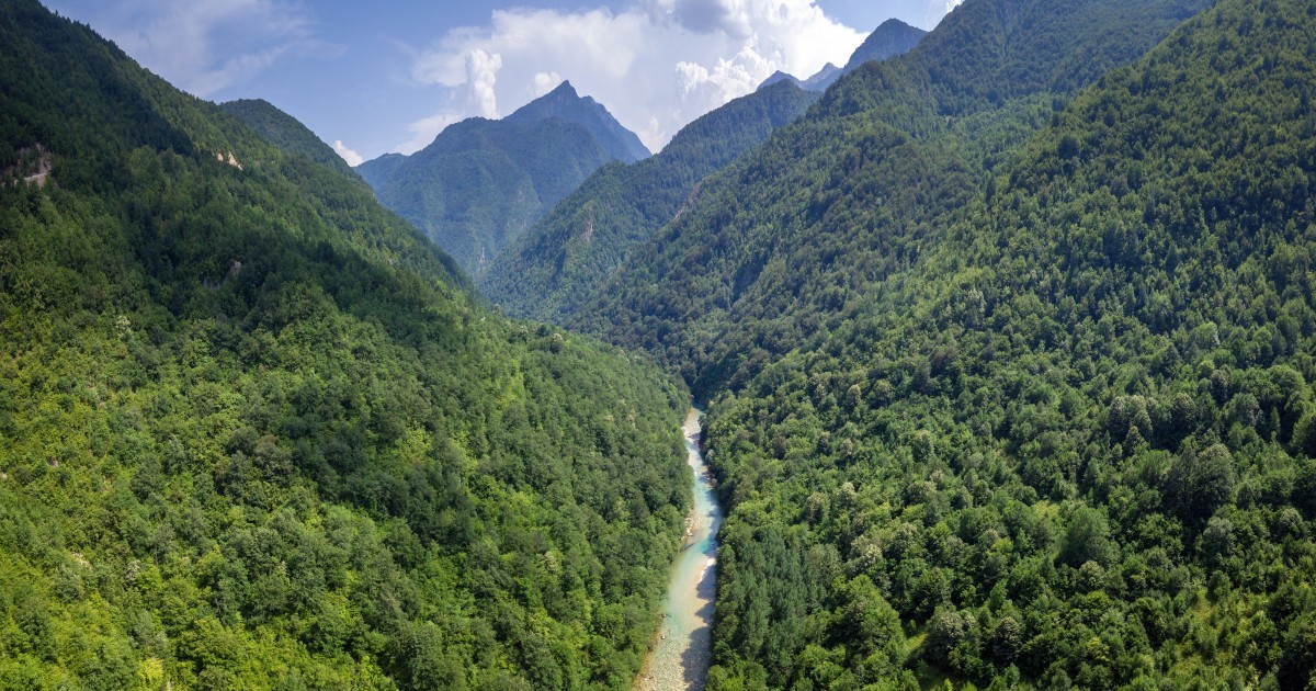 Bern Convention demands Bosnia-Herzegovina to stop all dam projects on ...