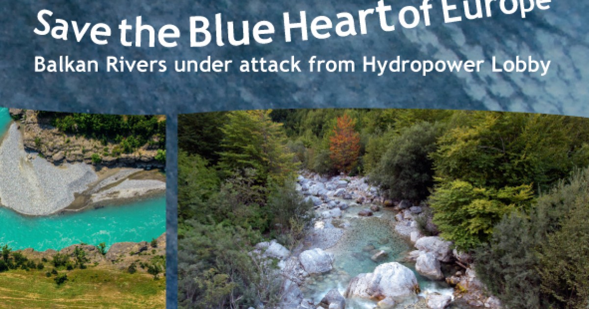 Campaign brochure now available! | Save the Blue Heart of Europe